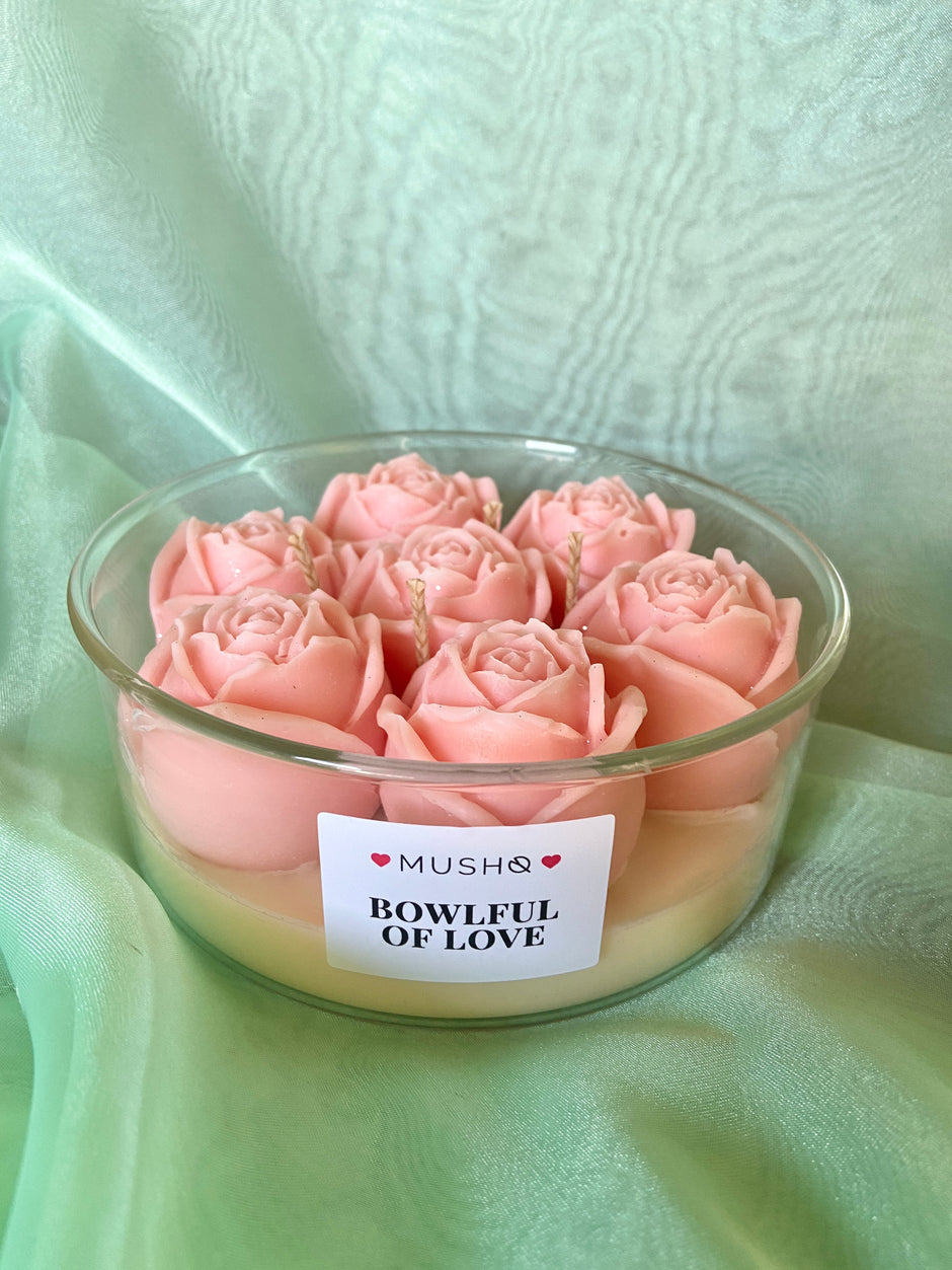 Bowls & Terrariums – Mushq Studio